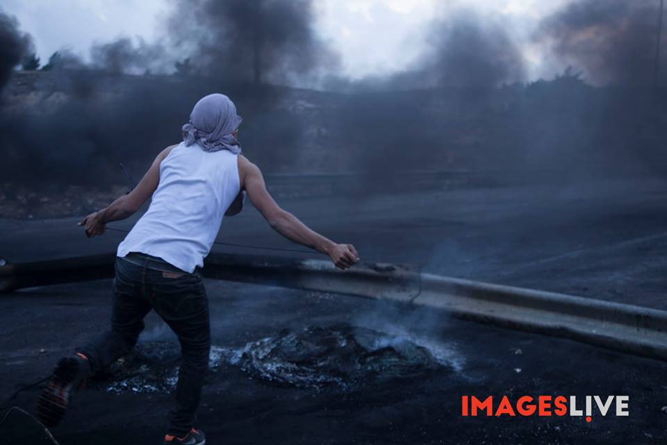 Recent Images – International Photo Media